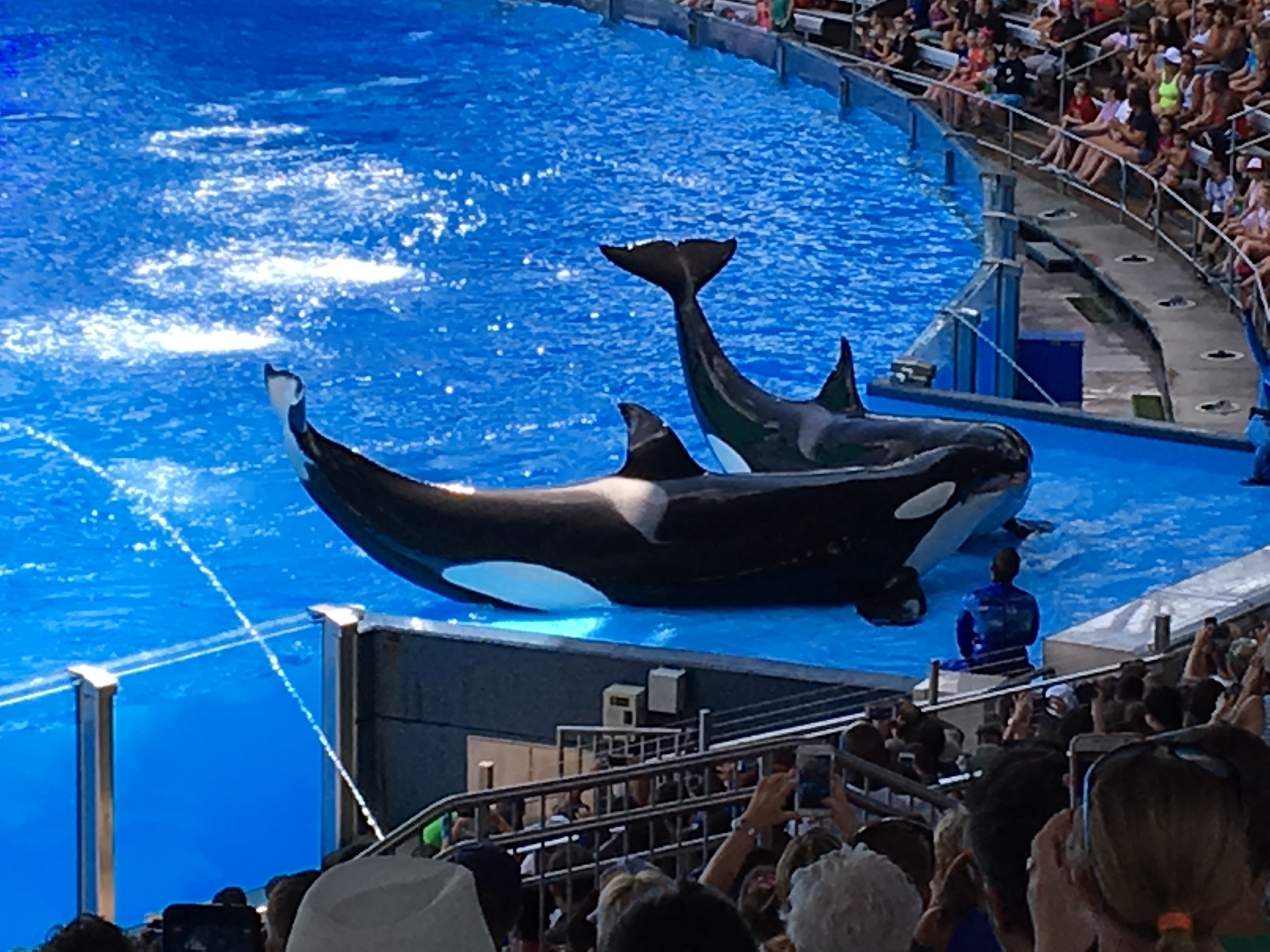 SeaWorld Orlando
