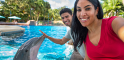Aquatica All Day Dining