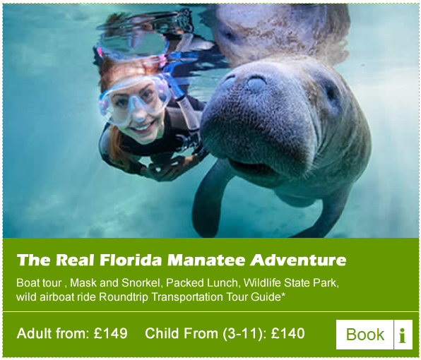 Real Florida Adventures