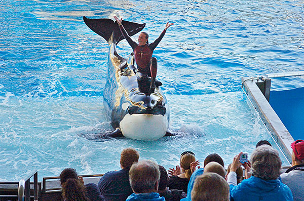 SeaWorld Orlando