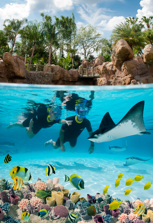 Discovery Cove SeaVenture